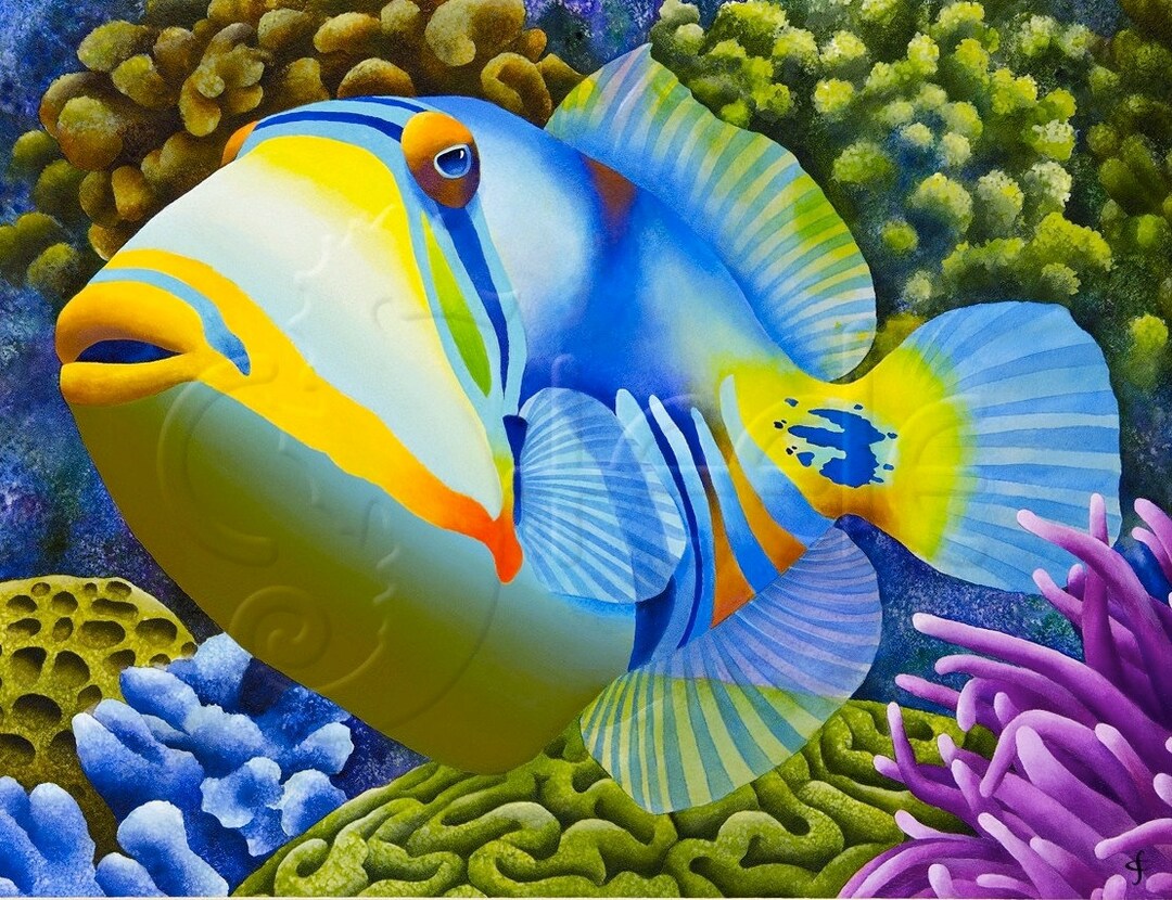 Tropical Art Print - Picasso Triggerfish: "pablo" - Etsy