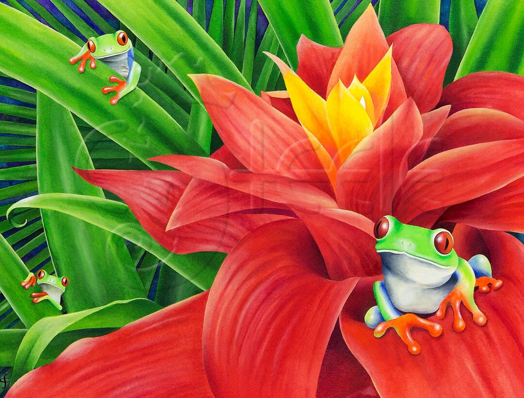 Tropical Art Print - Green Tree Frogs: "three Amigos" - Etsy