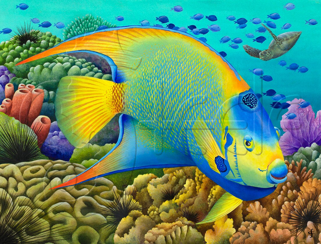 Caribbean Queen Angelfish: "caribbean Queen" - Etsy