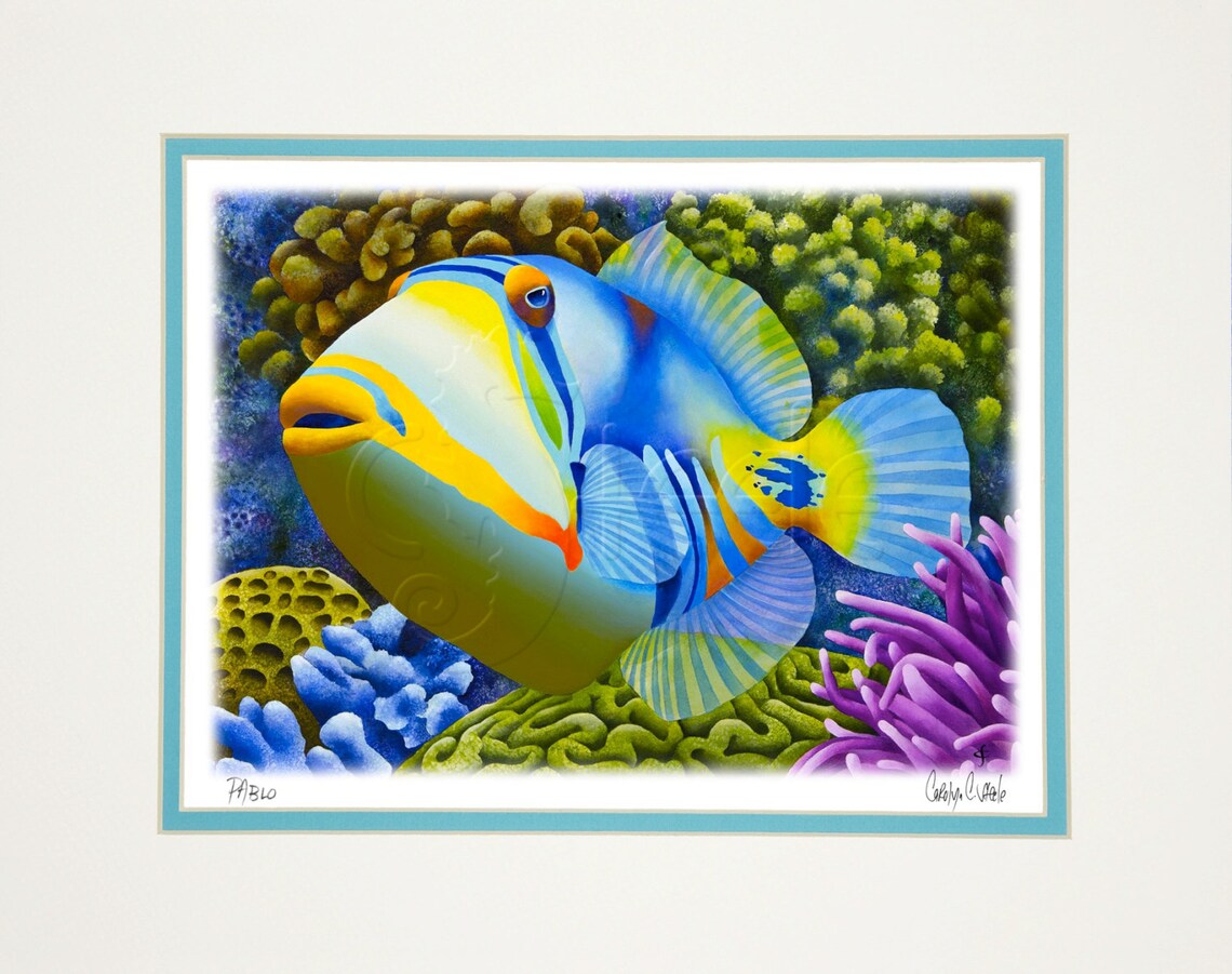 Tropical Art Print - Picasso Triggerfish: "pablo" - Etsy