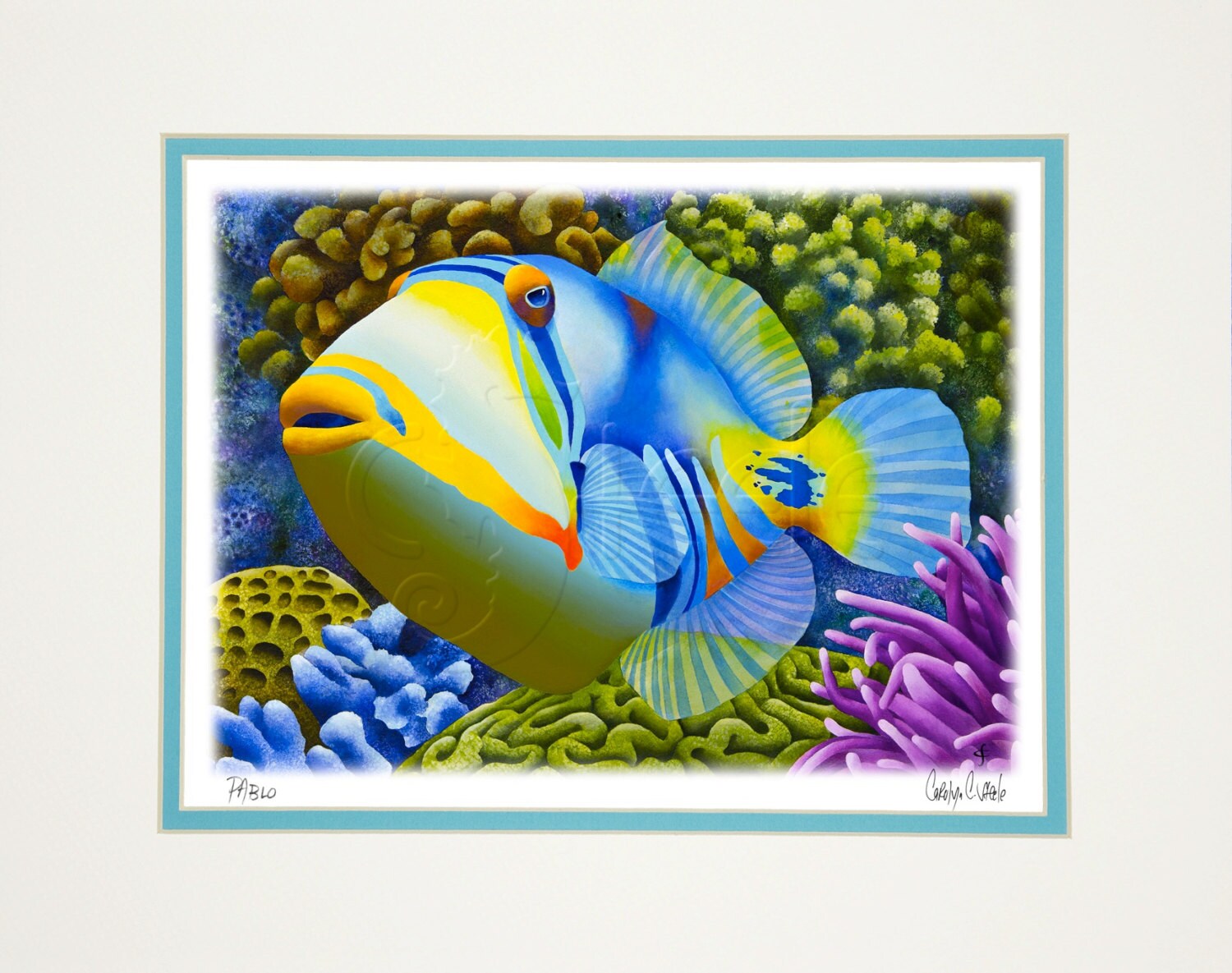 Tropical Art Print - Picasso Triggerfish: "pablo" - Etsy