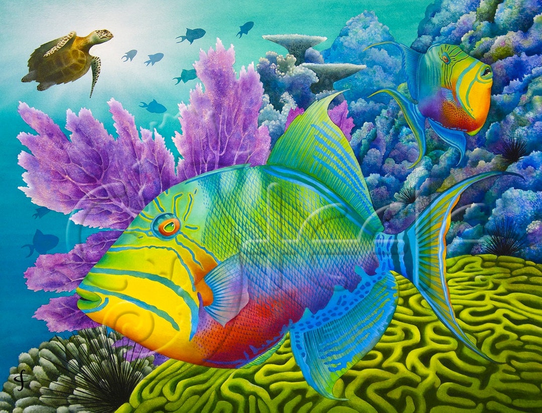 Carolyn Steele Tropical Art Print - Queen Triggerfish: "trigger Happy ...