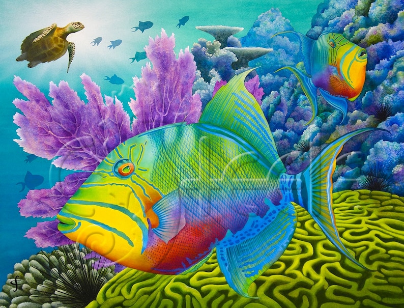 Carolyn Steele Tropical Art Print Queen Triggerfish: trigger Happy - Etsy