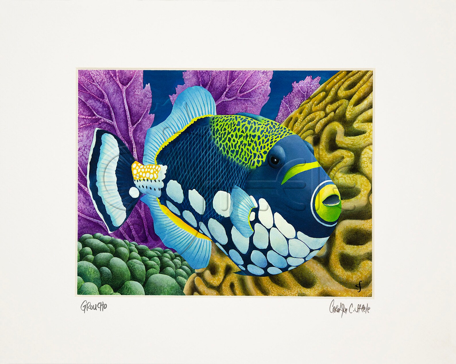 Coral Reef, Pacific, Clown Triggerfish: Groucho - Etsy