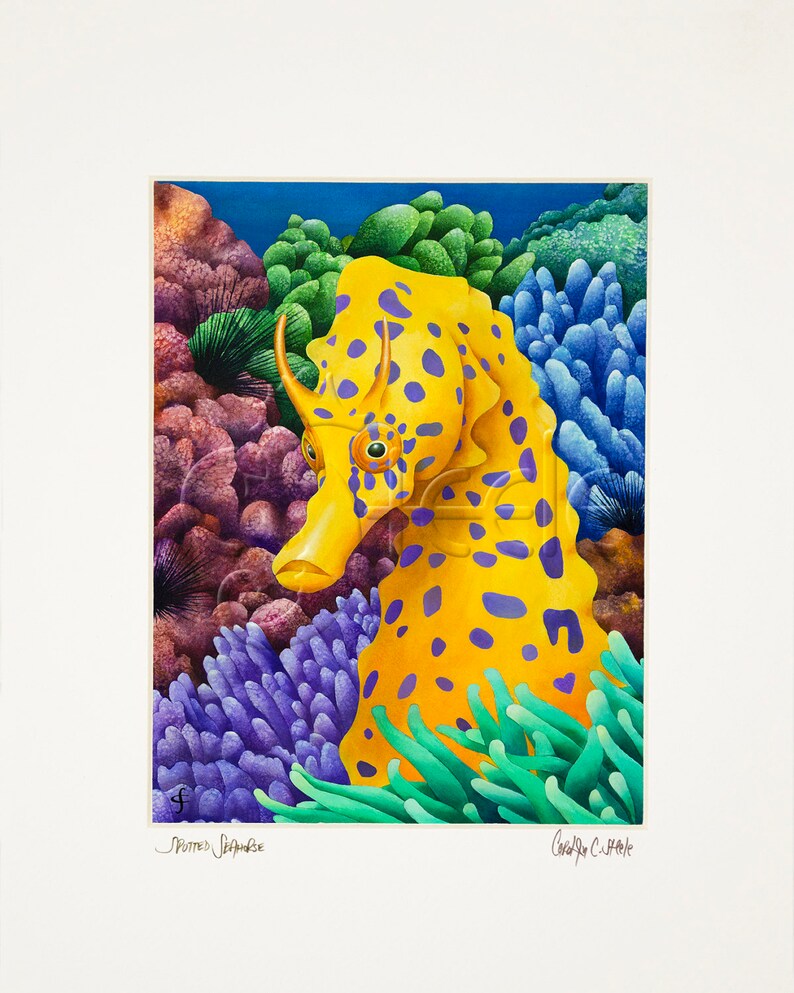 Carolyn Steele Tropical Art Print Technicolor Seahorse: - Etsy