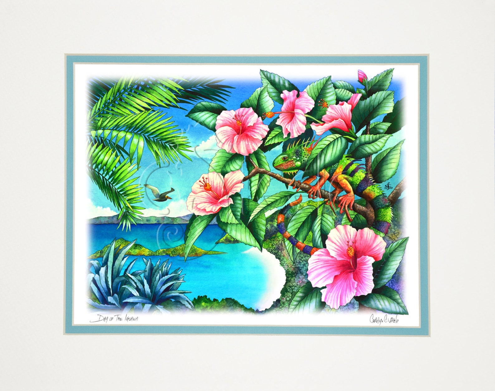 Carolyn Steele Tropical Art Print Iguana at Trunk Bay St. - Etsy