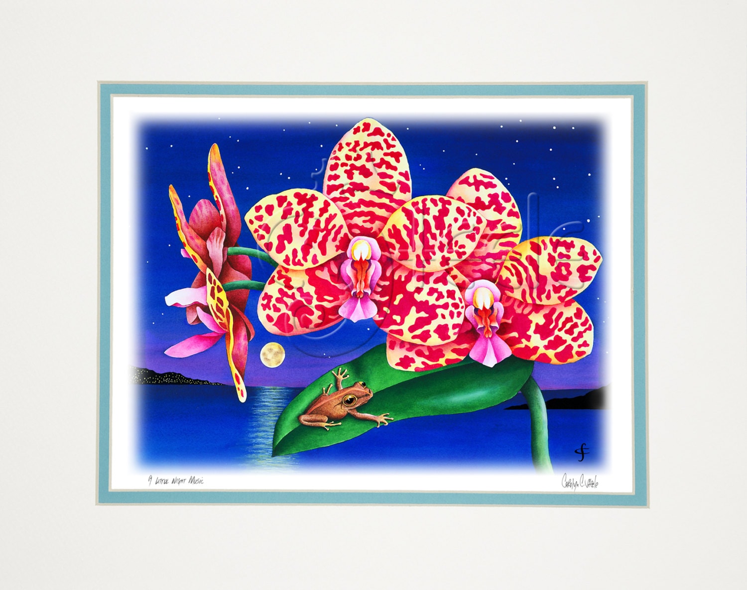 Carolyn Steele Tropical Art Print Orchids and Cute Tree Frog - Etsy
