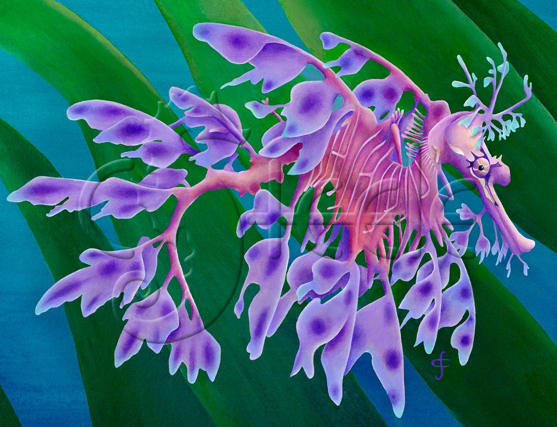 Leafy Sea Dragon - Etsy
