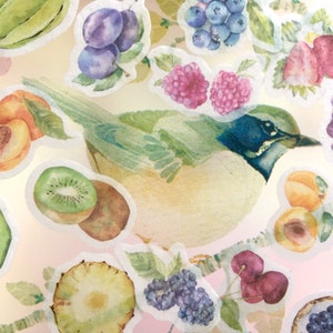 32 Rainbow Fruit Sticker Berry Fruit Summer Fruit Watercolor Fruit ...