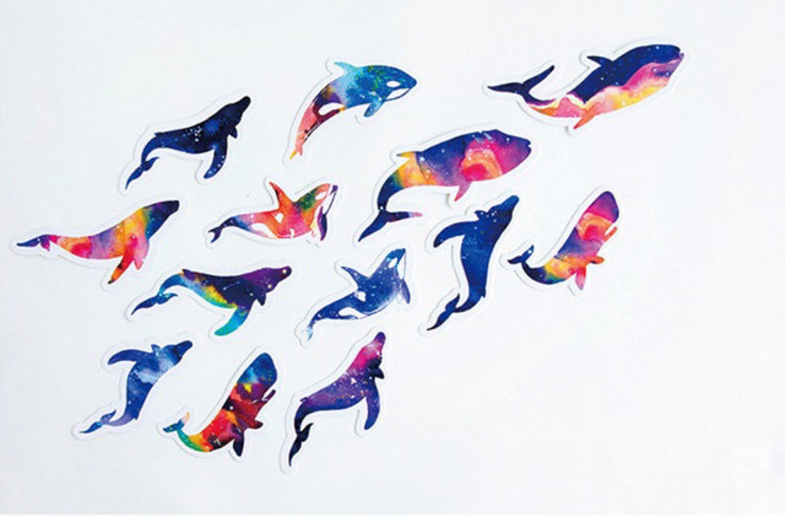 30 Fancy Whale Dolphin Embellishment Paper Cards Big Fish | Etsy