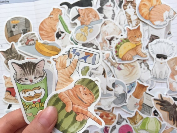 50 My Naughty Pet Cat Stickers Cat Meow Funny Cartoon Cat - Etsy