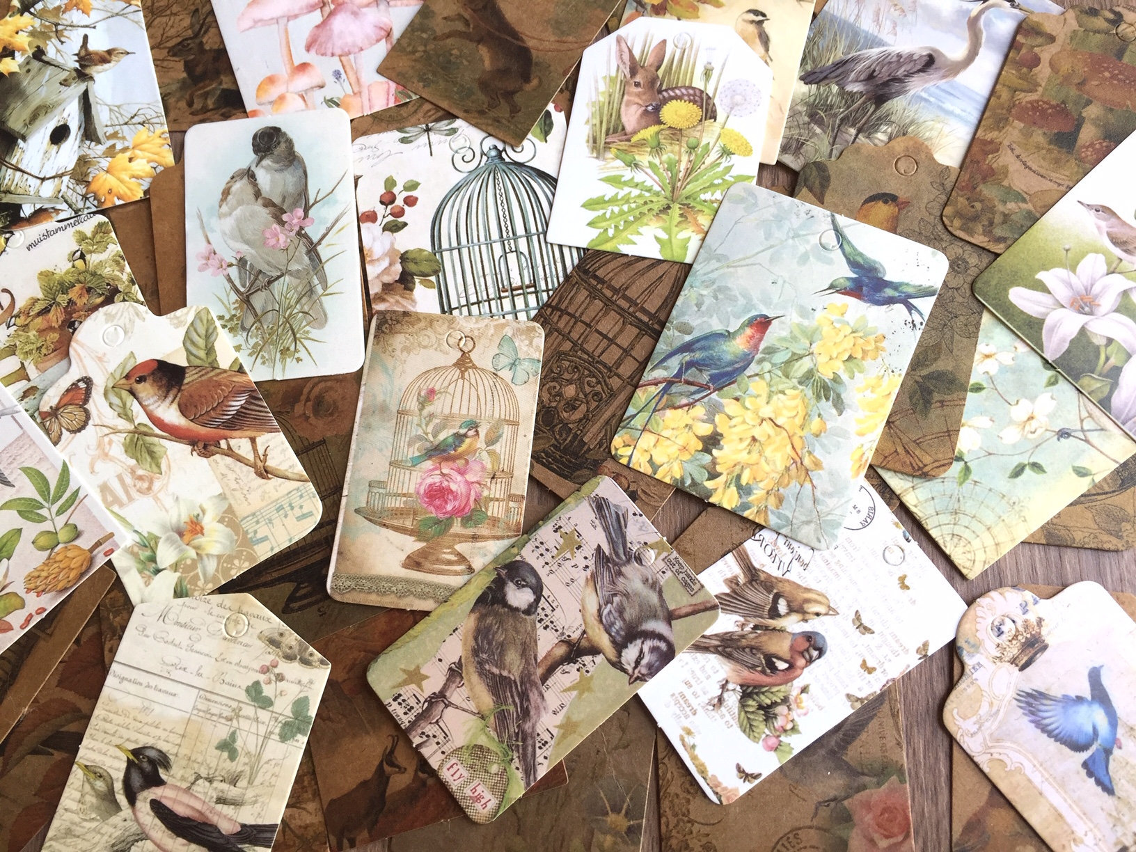 48 Vintage Animal Mini Paper Card Retro Animal Vintage Art - Etsy