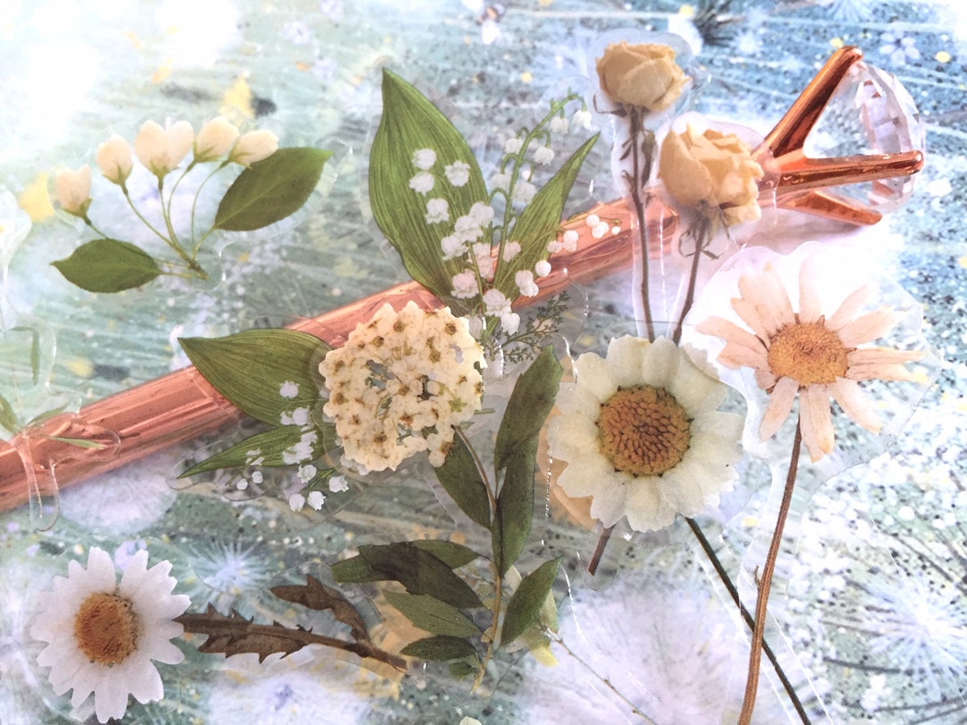 White Flower Epoxy Sticker White Rose Daisy Pressed Flower Leaves ...
