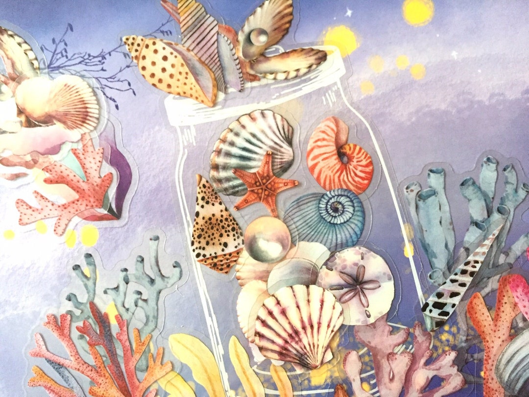 31 Seashell Ocean Shell Stickers Deep Blue Sea Carol Sea Shell ...