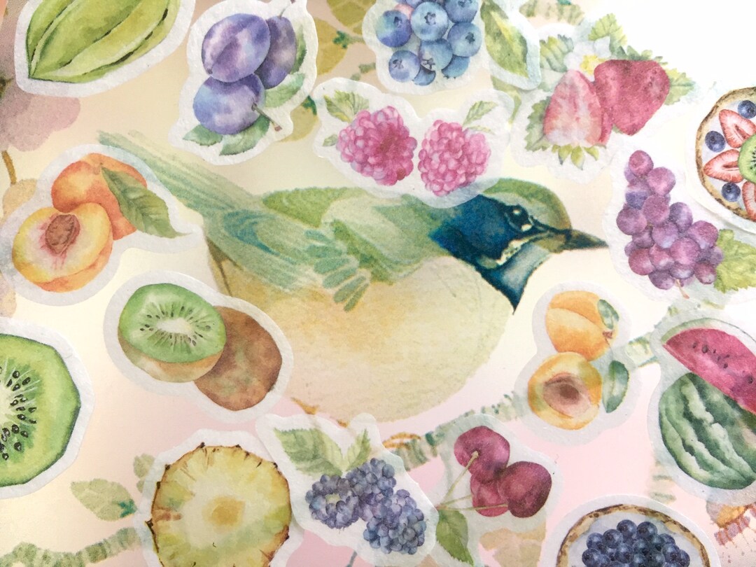 32 Rainbow Fruit Sticker Berry Fruit Summer Fruit Watercolor Fruit ...