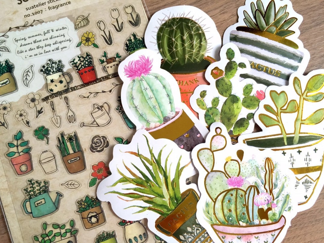 Green Plant Sticker Fat Plant Cactus Chart Scientific Botanical Botany ...