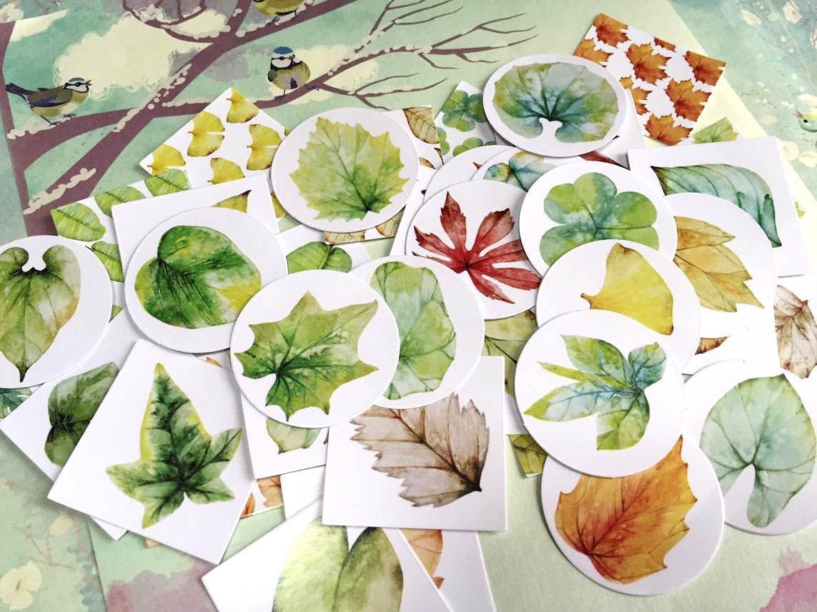 40 colorful leaf sticker Autumn leaves green leaves label | Etsy