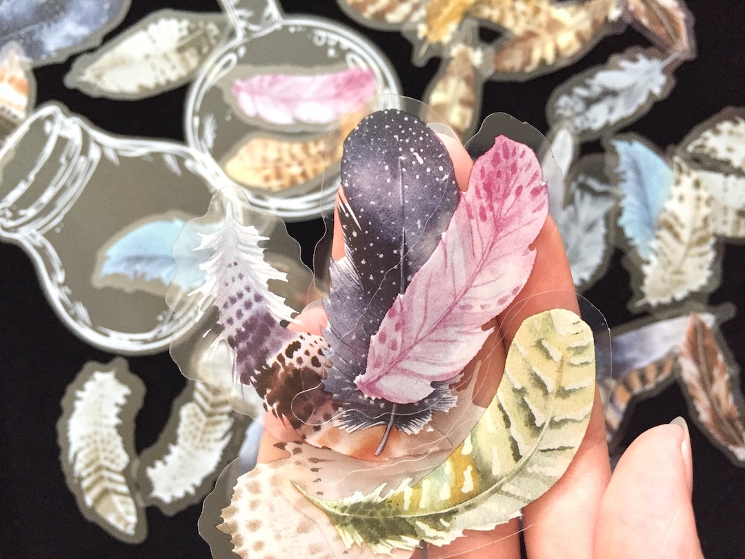 38 Pretty Feather Stickers Big Bird Feather 2D Indian Feather Colorful ...