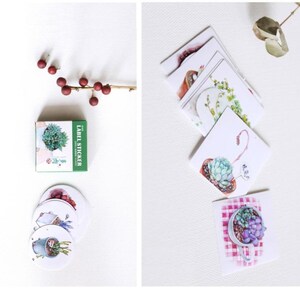 40 Cactus Plant Sticker Cactus Chart Scientific Botanical Botany Print ...