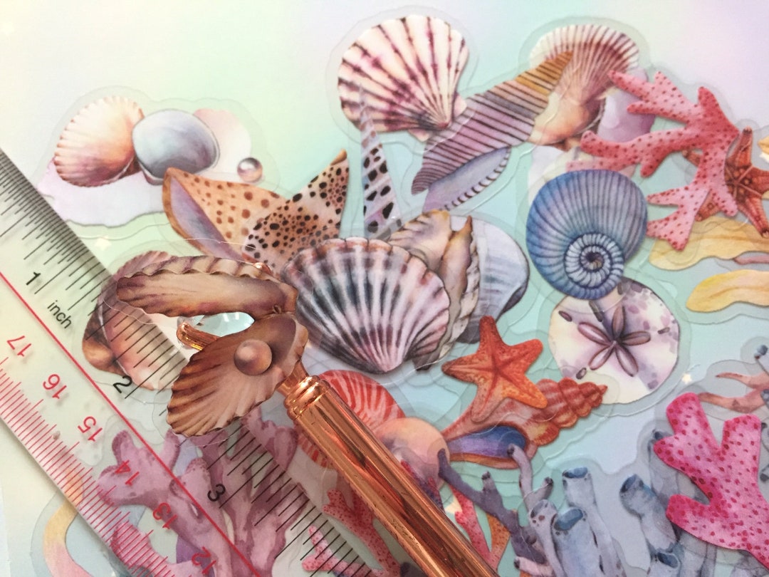 31 Seashell Ocean Shell Stickers Deep Blue Sea Carol Sea Shell - Etsy