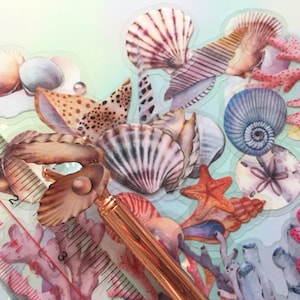 31 Seashell Ocean Shell Stickers Deep Blue Sea Carol Sea Shell ...