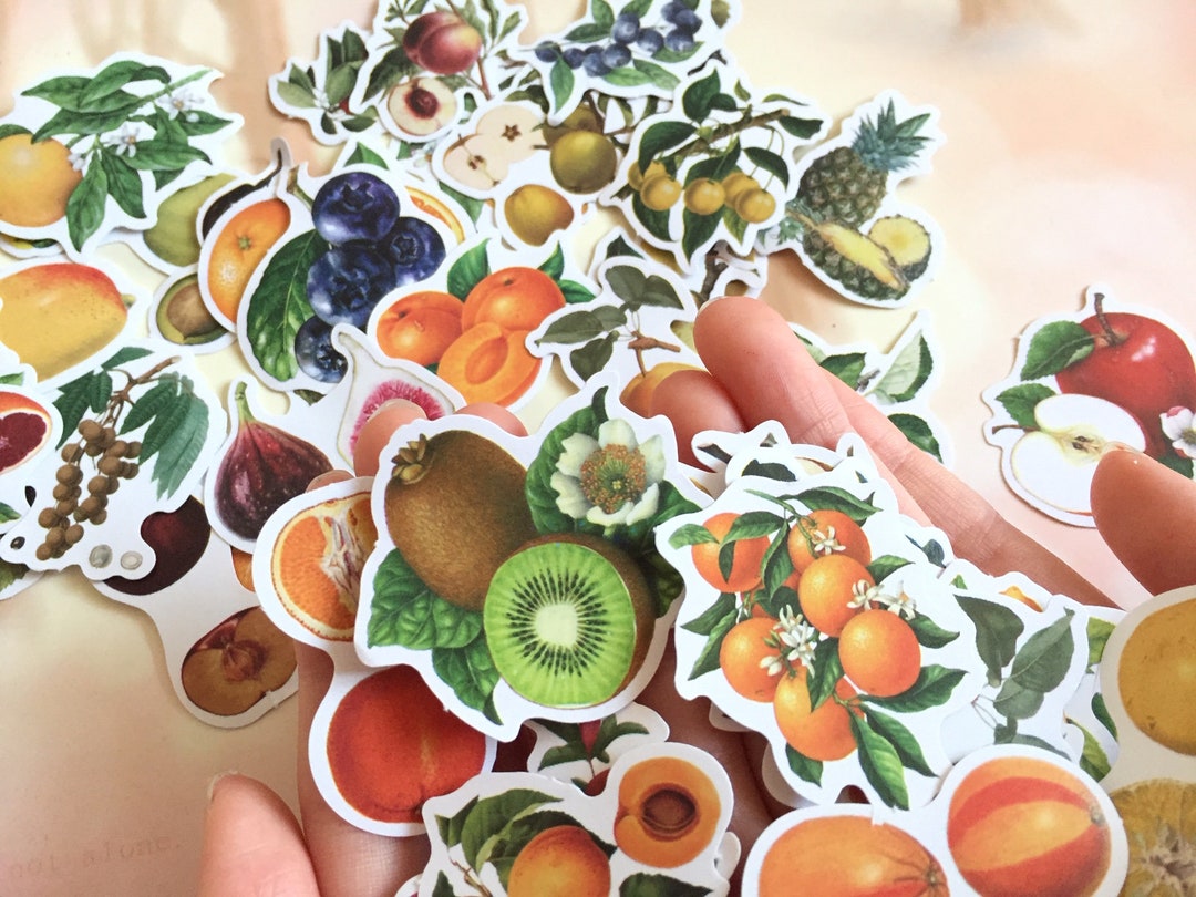45 Tropical Fruits Super Fruit Sticker Rainbow Fruit Healing Fruit ...