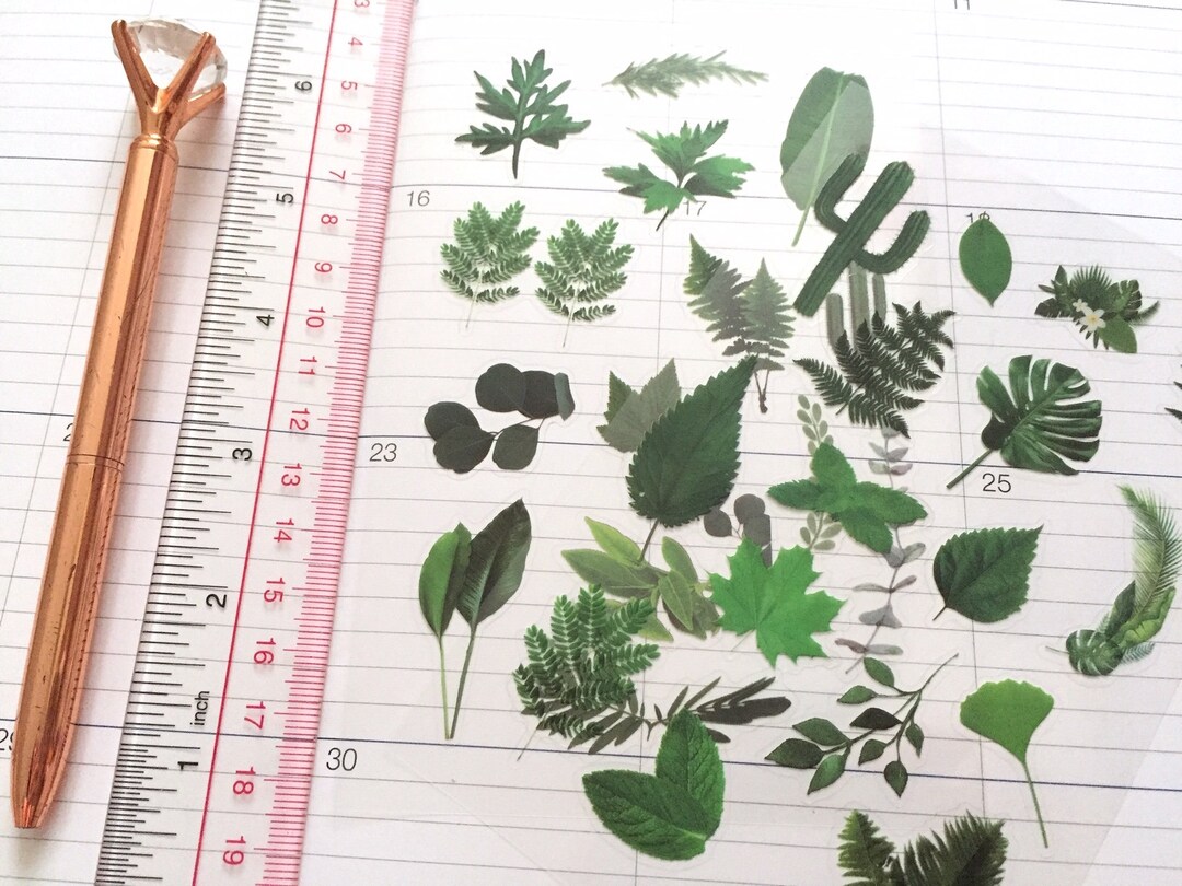 Big Leaf Stickers Forest Green Plant Cactus Rainforest - Etsy