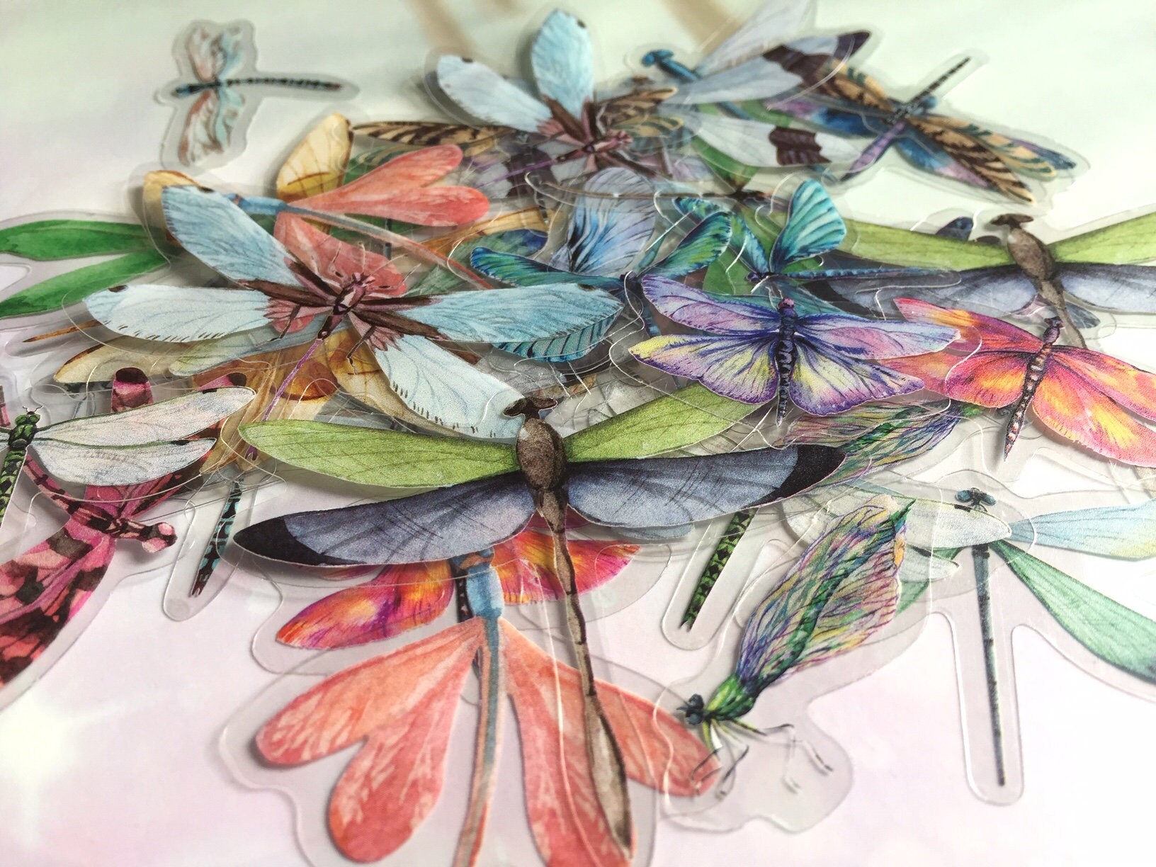 38 Dragonflies Sticker Dragonfly Theme Dragonflies Sample - Etsy