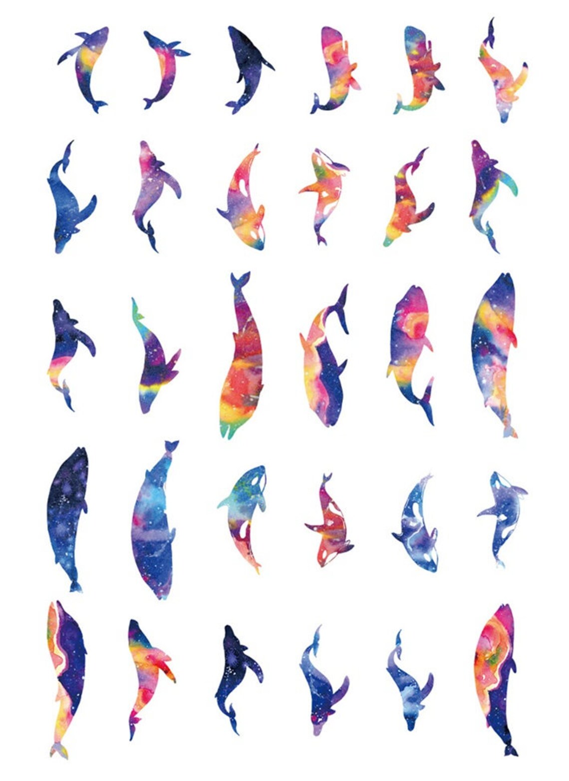 30 Fancy Whale Dolphin Embellishment Paper Cards Big Fish | Etsy