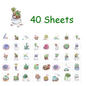 40 Cactus Plant Sticker Cactus Chart Scientific Botanical Botany Print ...