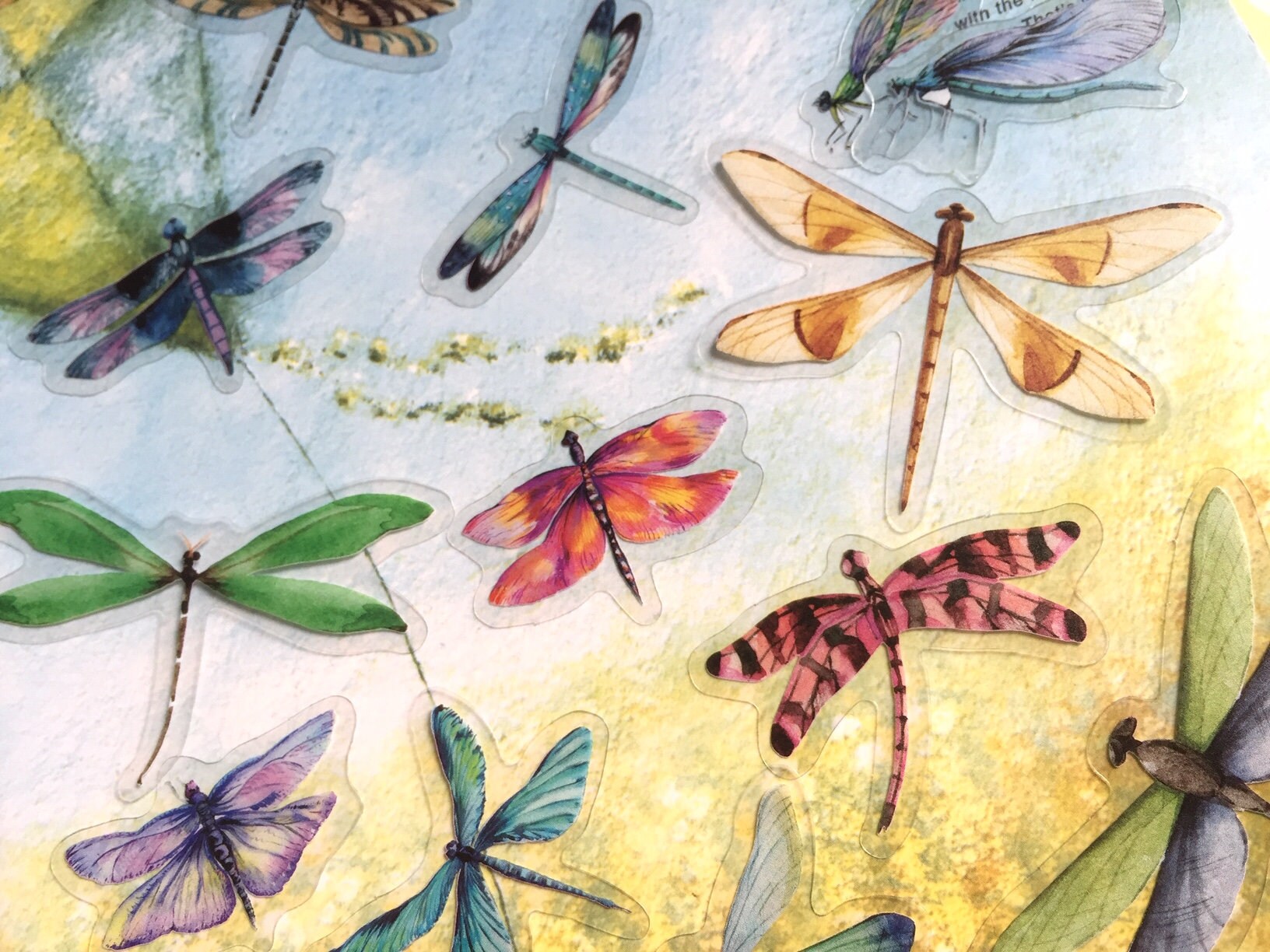 38 Dragonflies sticker Dragonfly theme Dragonflies sample | Etsy