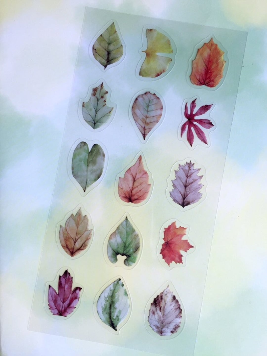 Autumn Fall Leaves Sticker Colorful Leaf Fallen Leaf Beautiful Leaf ...