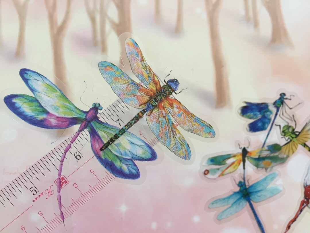 20 Dragonflies Sticker Dragonfly Theme Big Dragonflies Sample Label ...