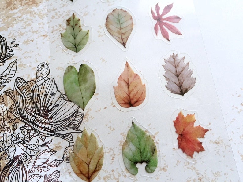 Autumn Fall Leaves Sticker Colorful Leaf Fallen Leaf Beautiful Leaf ...