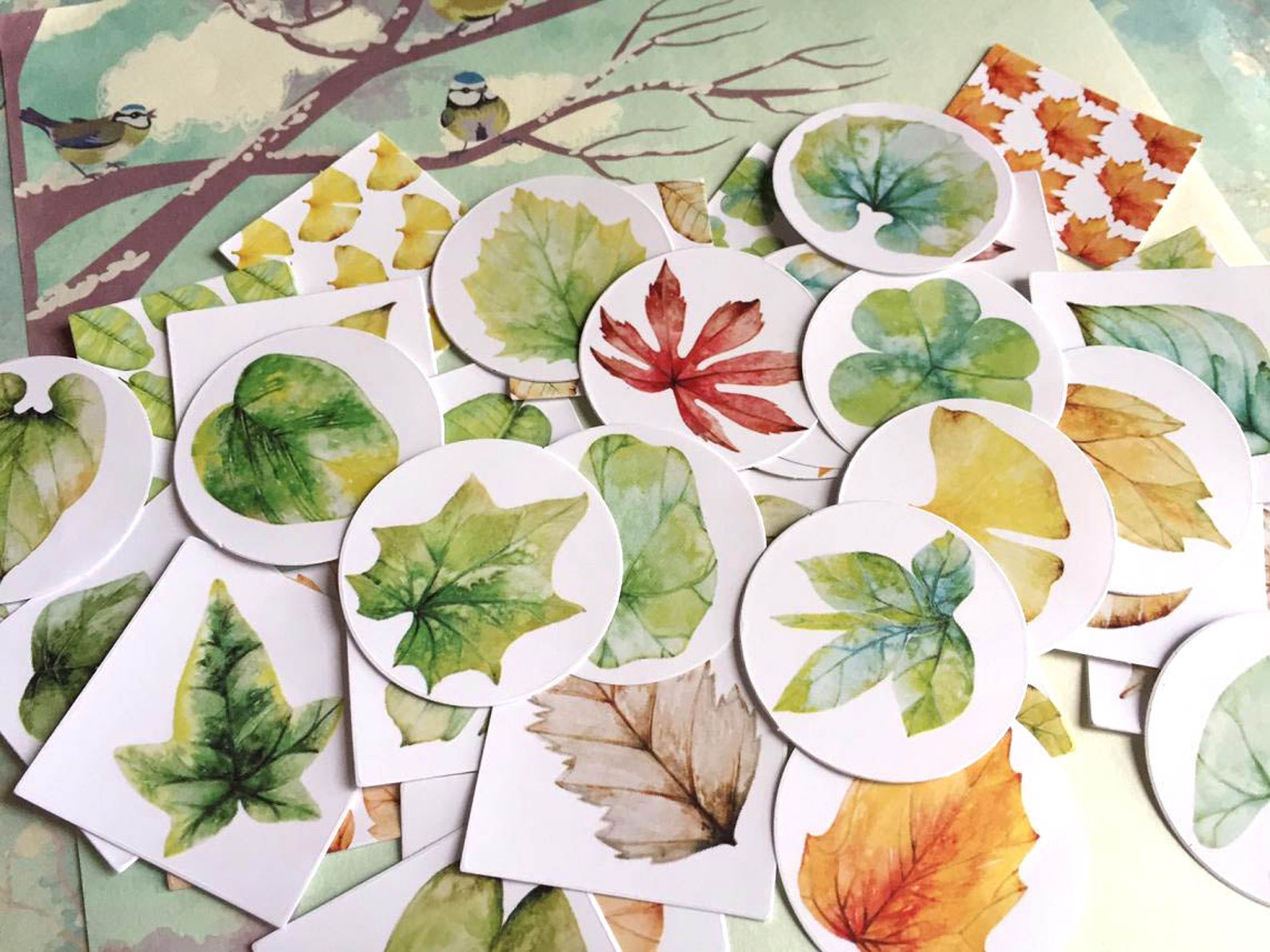 40 Colorful Leaf Sticker Autumn Leaves Green Leaves Label | Etsy