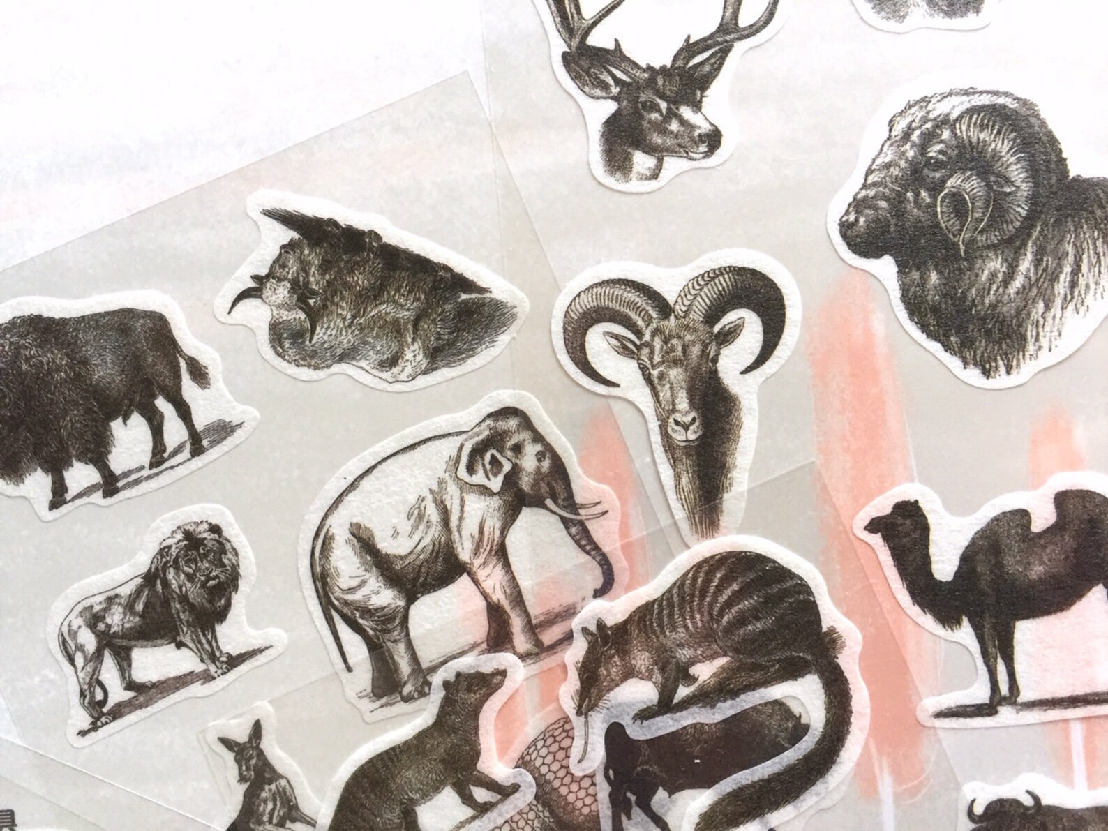 6 Sheets Animal Sticker Animal Sketch Africa Safari Animals Wild Life ...