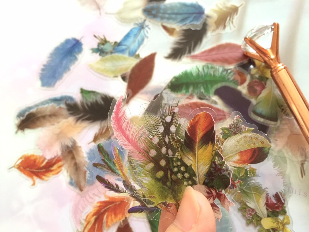 58 Bird Feather Stickers Cute Feather 2D Indian Feather Colorful Rare ...