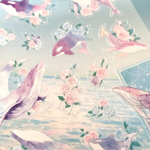 Fancy Whale Sticker Moonlight Pink Rose Blue Rose Mini Whale Underwater ...