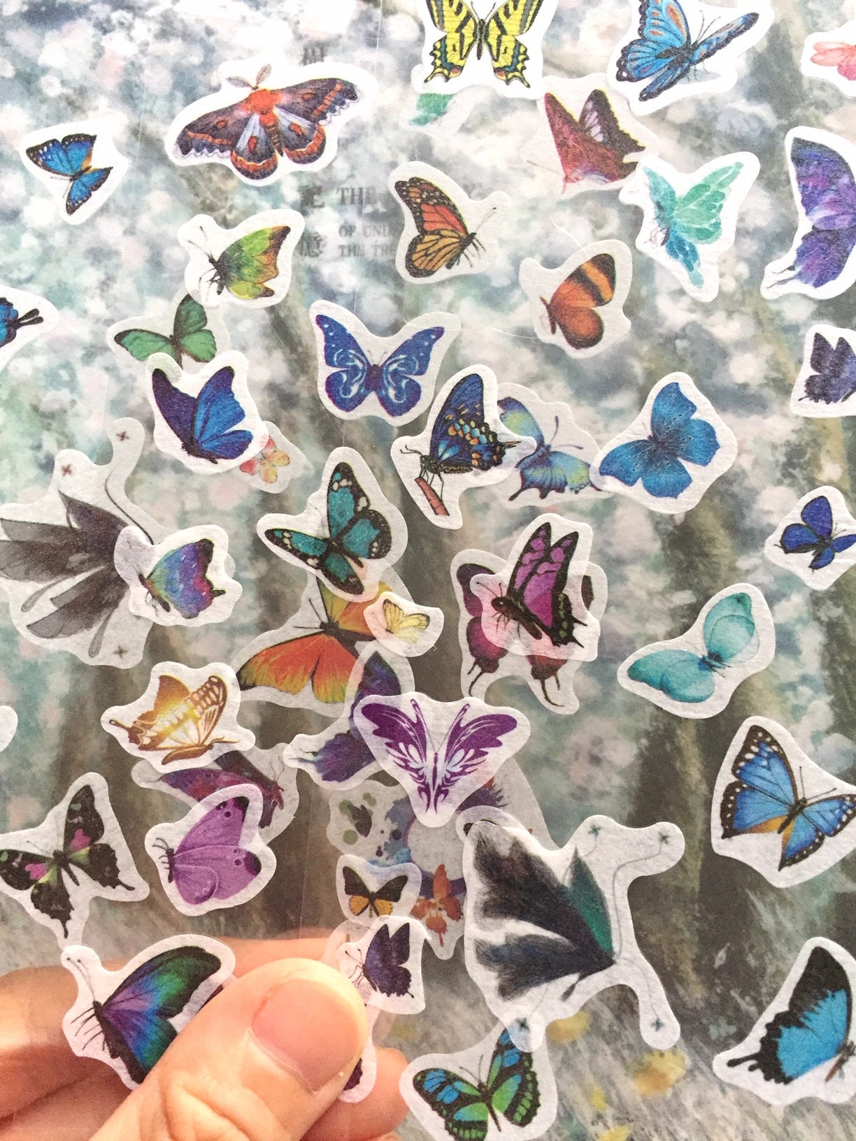 6 sheets butterfly stickers butterfly theme big butterfly | Etsy