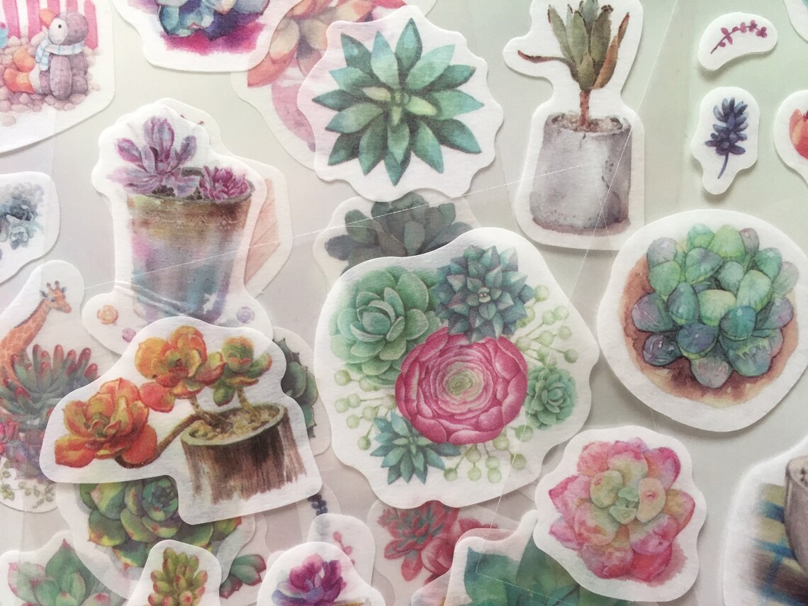 80 Cute Plant Stickers Gardening Fat Plant Succulents Plant Green Plant ...