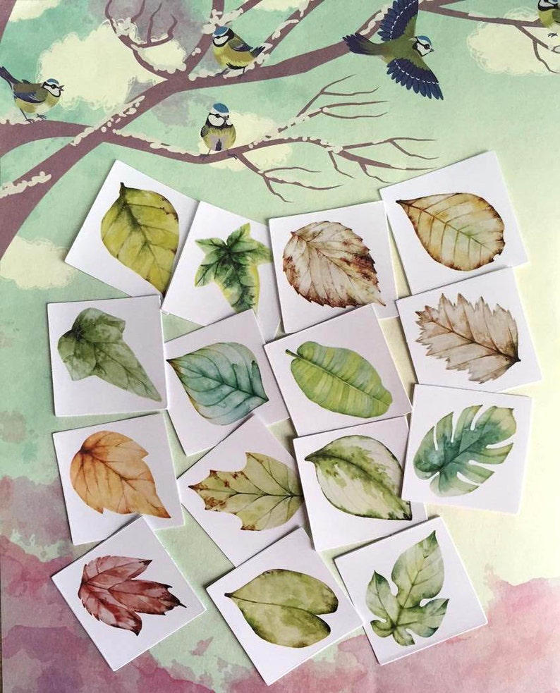 40 Colorful Leaf Sticker Autumn Leaves Green Leaves Label - Etsy