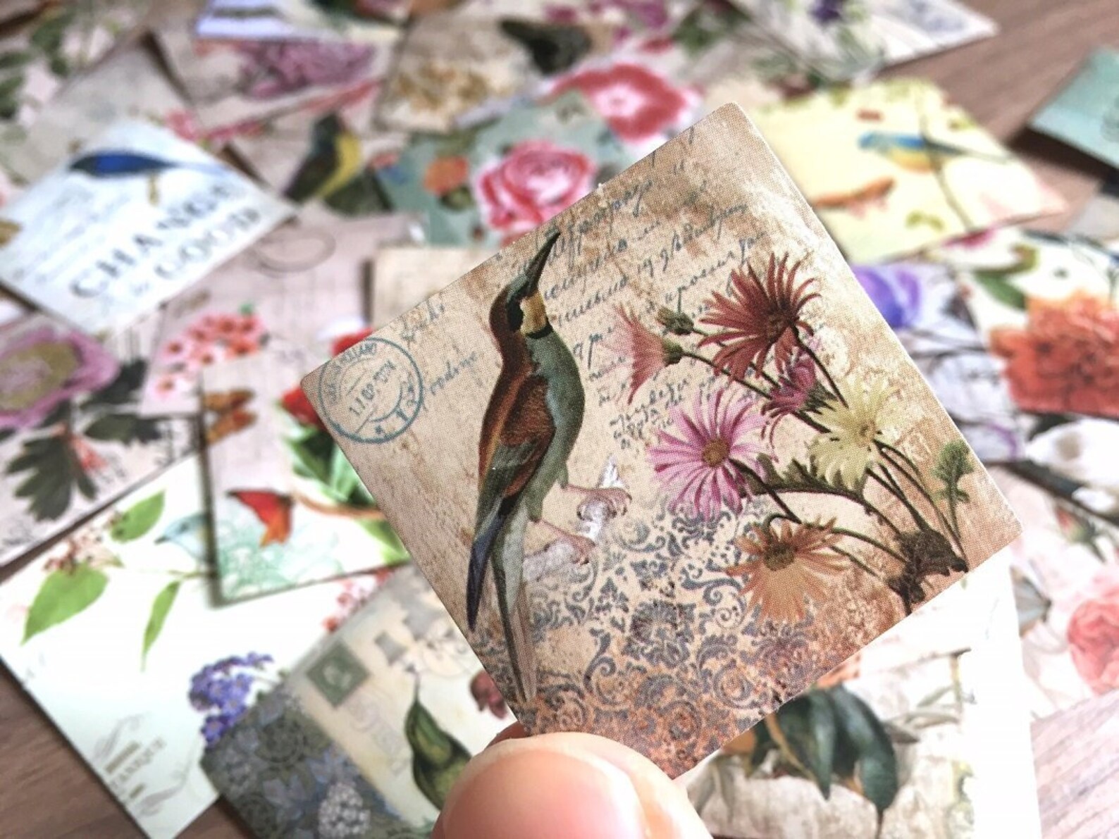 Retro Label Sticker 45 Sheets Old Fashioned Birds Antique Vintage Diary ...