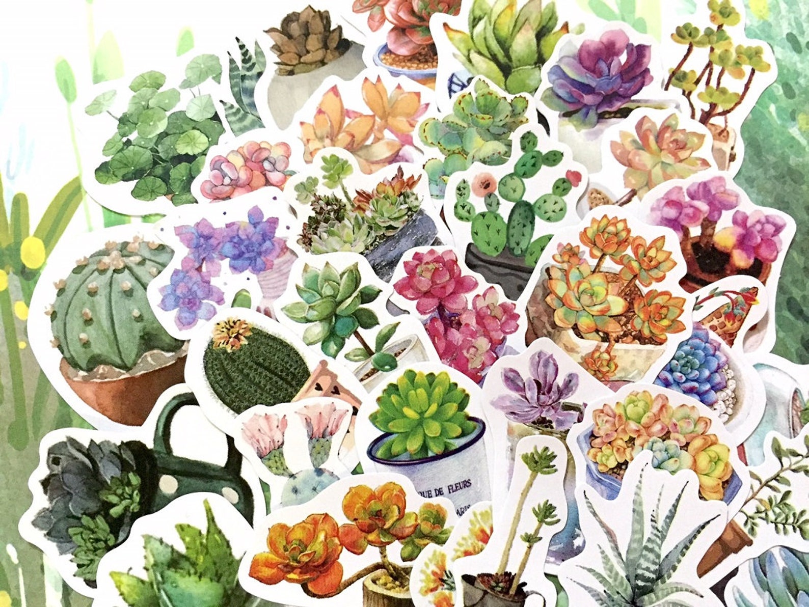 50 Mini Potted Plant Sticker Fat Plant Cactus Chart Botany Art Print ...