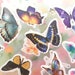 6 Sheets Butterfly Stickers Butterfly Theme Big Butterfly Small ...