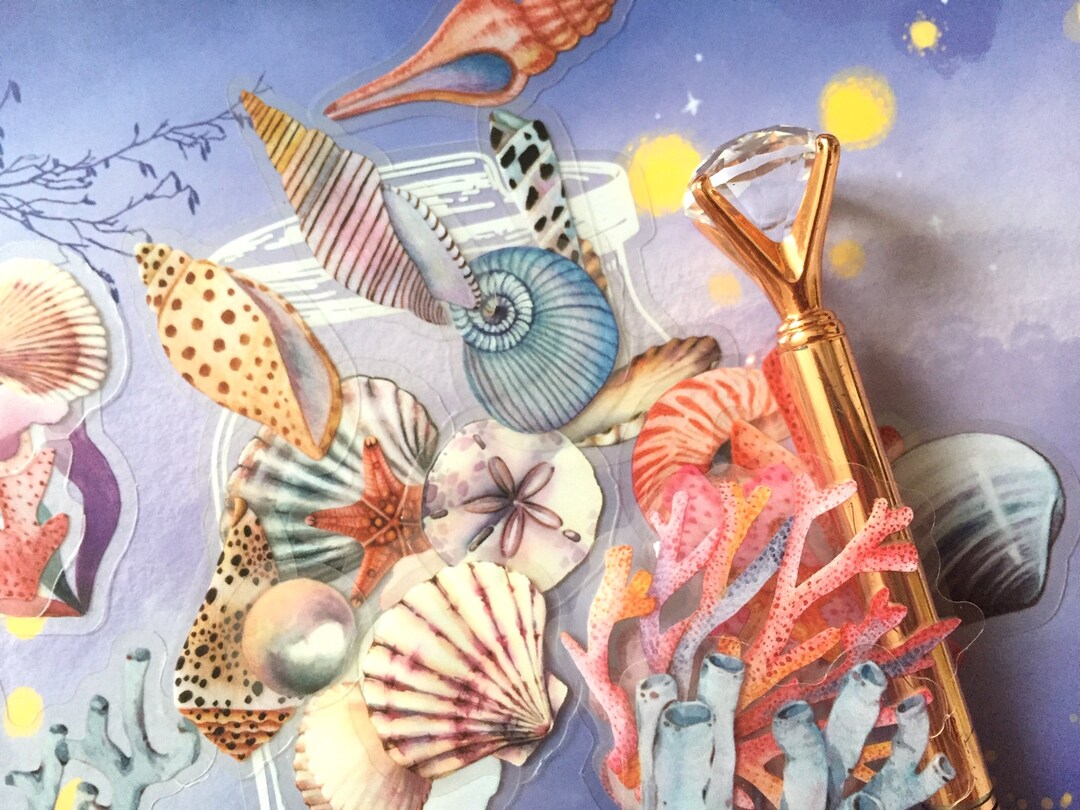31 Seashell Ocean Shell Stickers Deep Blue Sea Carol Sea Shell ...