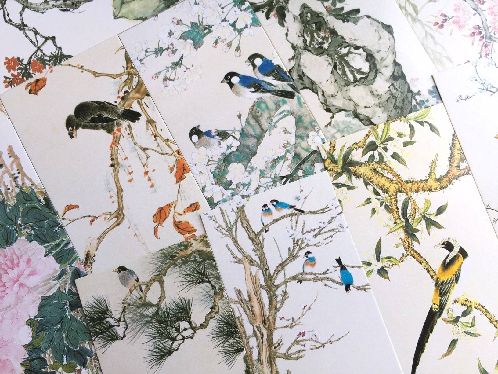 30 Oriental Bird Drawing Paper Card Chinese Birds Drawing Brush ...