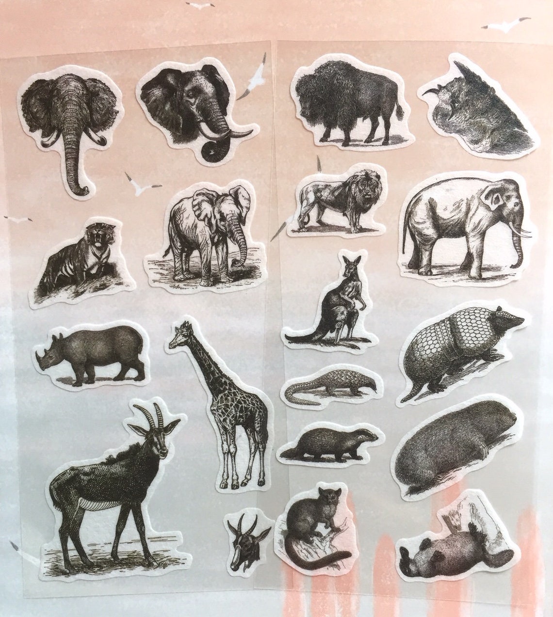 6 Sheets Animal Sticker Animal Sketch Africa Safari Animals Wild Life ...