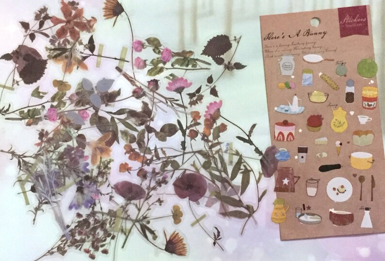 Autumn Plants Fall Flower Sticker Pressed Flower Leaves Pattern Sticker ...