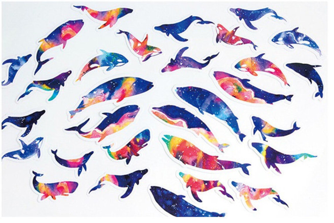 30 Fancy Whale Dolphin Embellishment Paper Cards Big Fish | Etsy