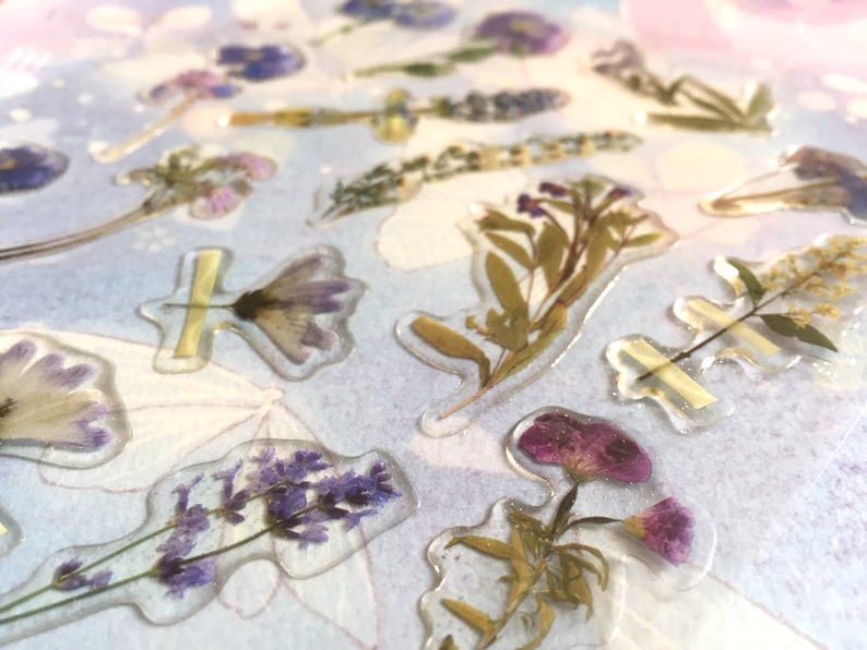Purple Tone Dried Rose Epoxy Sticker Forever Purple Flower Collection ...